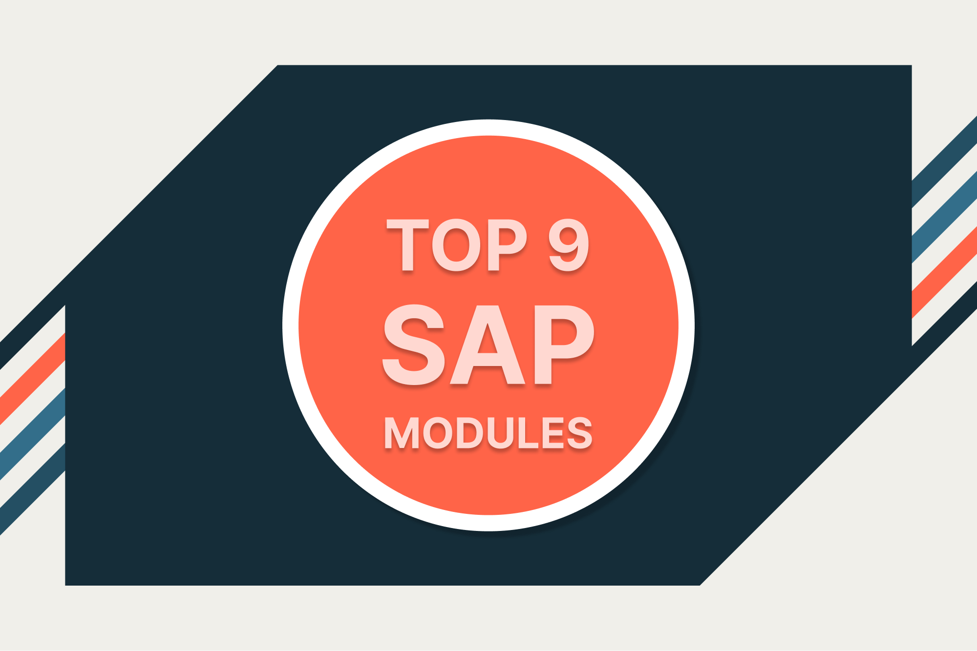 Sap Modules Guide List Of The Top 7 Module Types Airbase By Paylocity